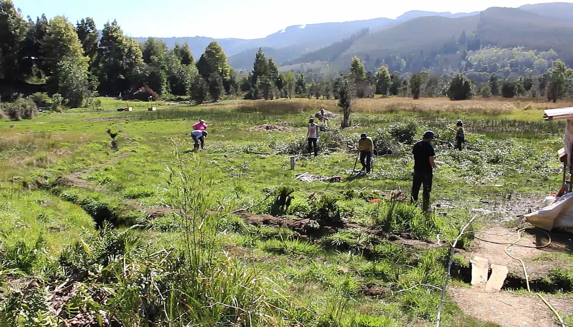 Piloto Restauración Pitrantos, Buchoco - PRELA