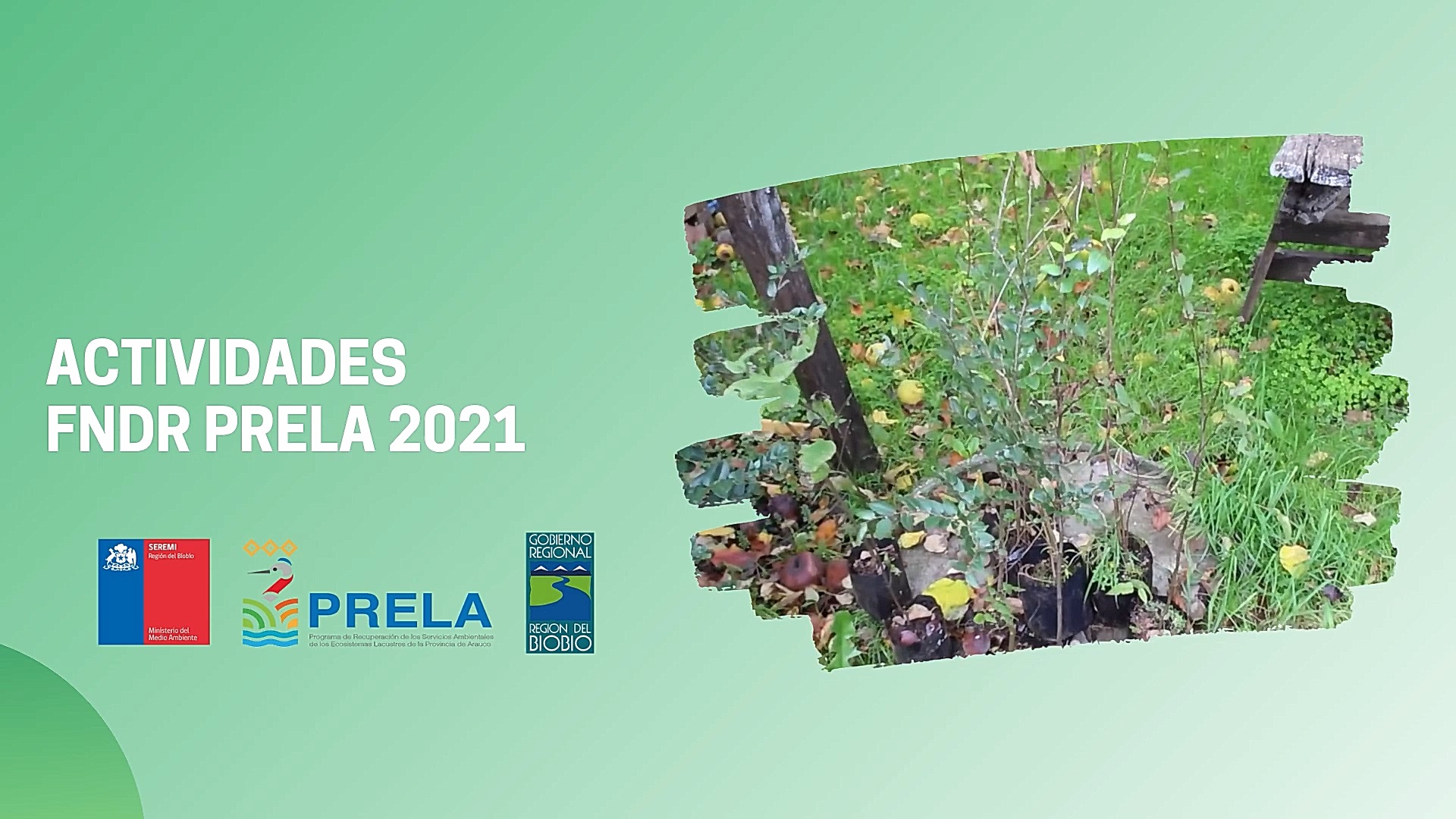 Resumen Actividades PRELA 2021 - PRELA